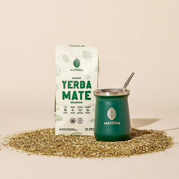 4 Health Benefits Scientifically Proven of Yerba Mate Tea | Mateína ...