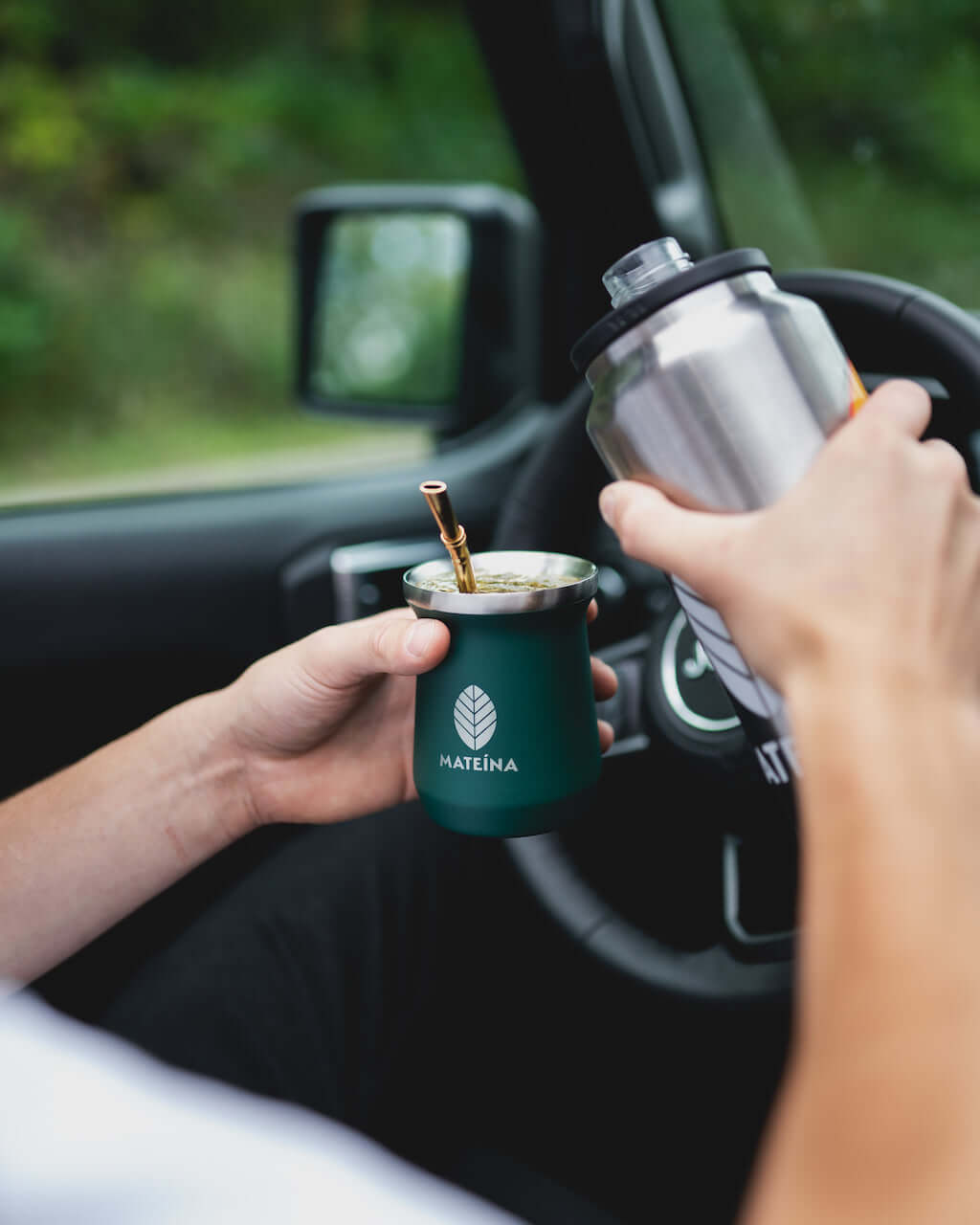 What does Yerba Mate contain: Key ingredients of this traditional beve ...