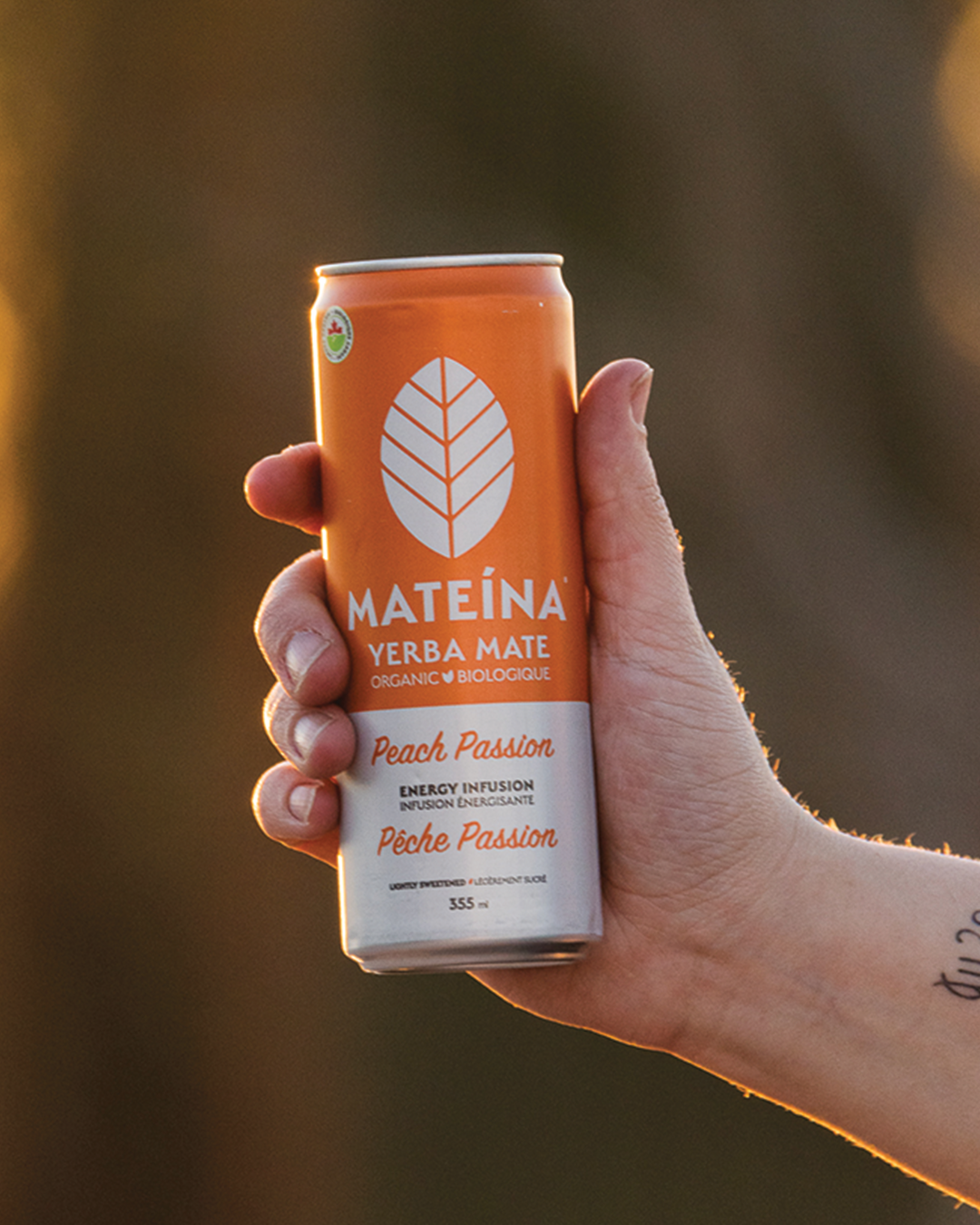 Matcha vs Mate: The differences between these two plant-based drinks ...